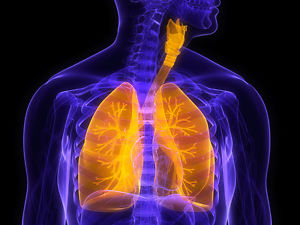 Asthma and Children - Magnesium and Health